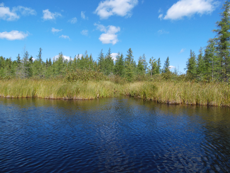 Portage - Stuart River to Contest Lake